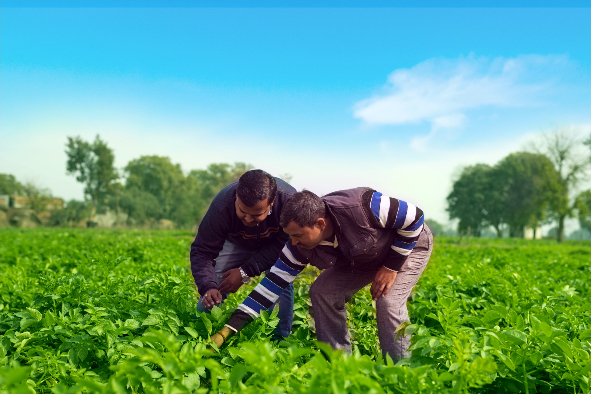 Modern Farming, Agriculture Practices in India, Importance of ...