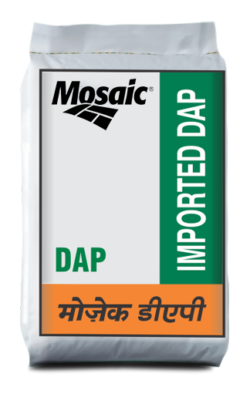 Best DAP Fertilizer Price in India, DAP Fertilizer for Paddy