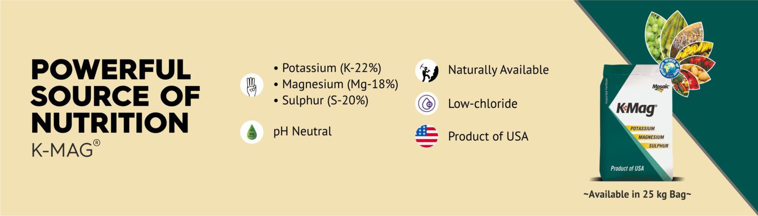 Function of Potassium in Plants, Sources of Potassium, Mosaic K Mag ...