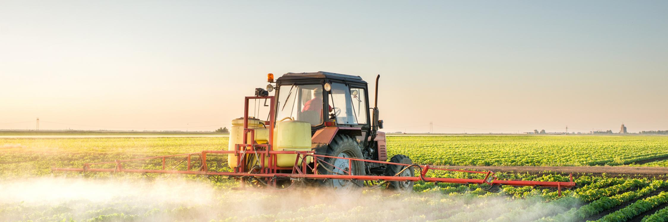 Importance of Foliar Nutrient Application - Mosaic India