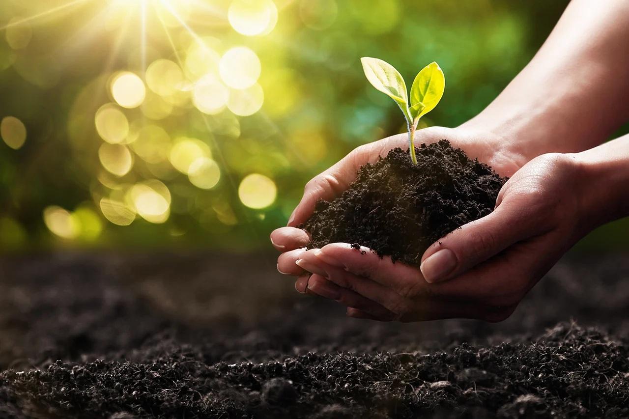 Soil Organic Matter - Mosaic India