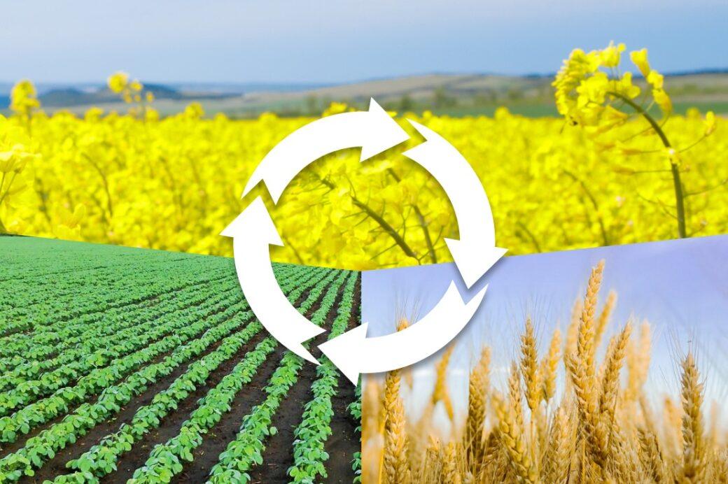 खेती में महत्वपूर्ण फसल चक्र - Mosaic India