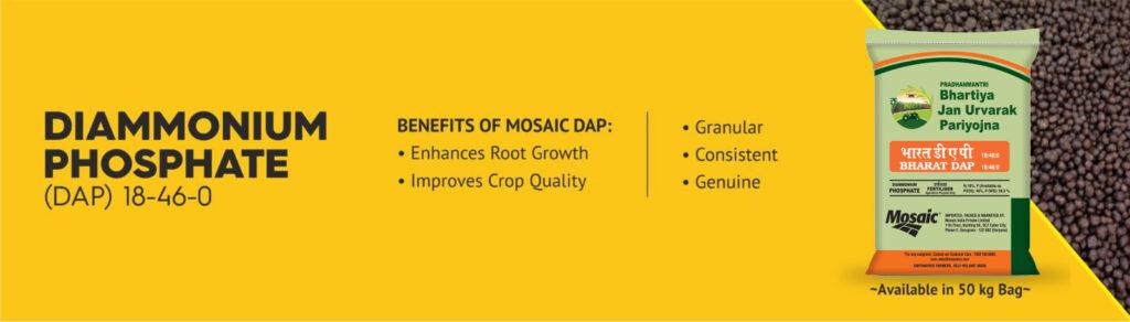 Best DAP Fertilizer Price in India, DAP Fertilizer for Paddy