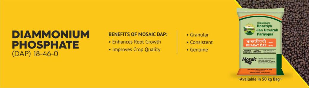 Best DAP Fertilizer Price in India, DAP Fertilizer for Paddy