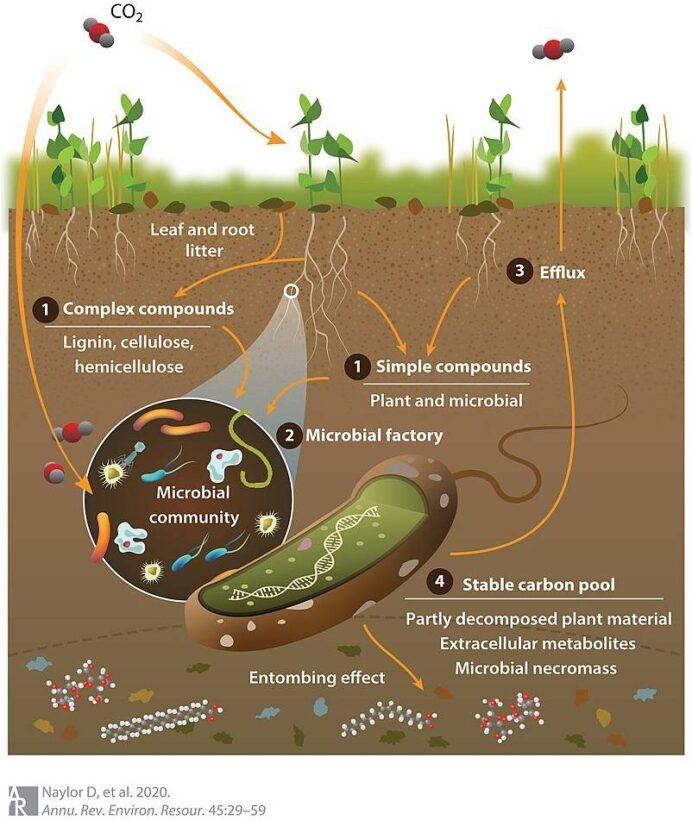 The Role of Soil Organic Carbon in Indian Agriculture - Mosaic India