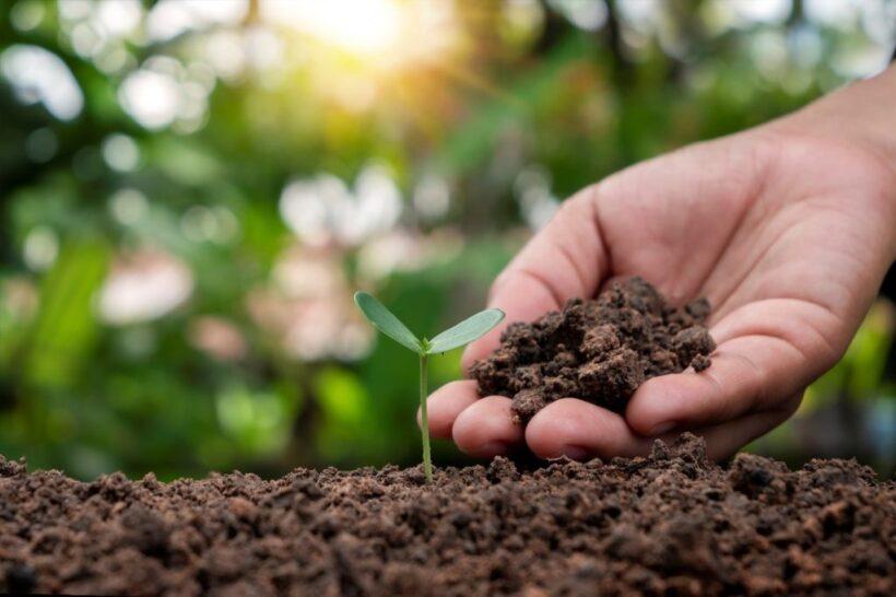 Importance of Soil Health Management for Sustainable Agriculture - Mosaic India