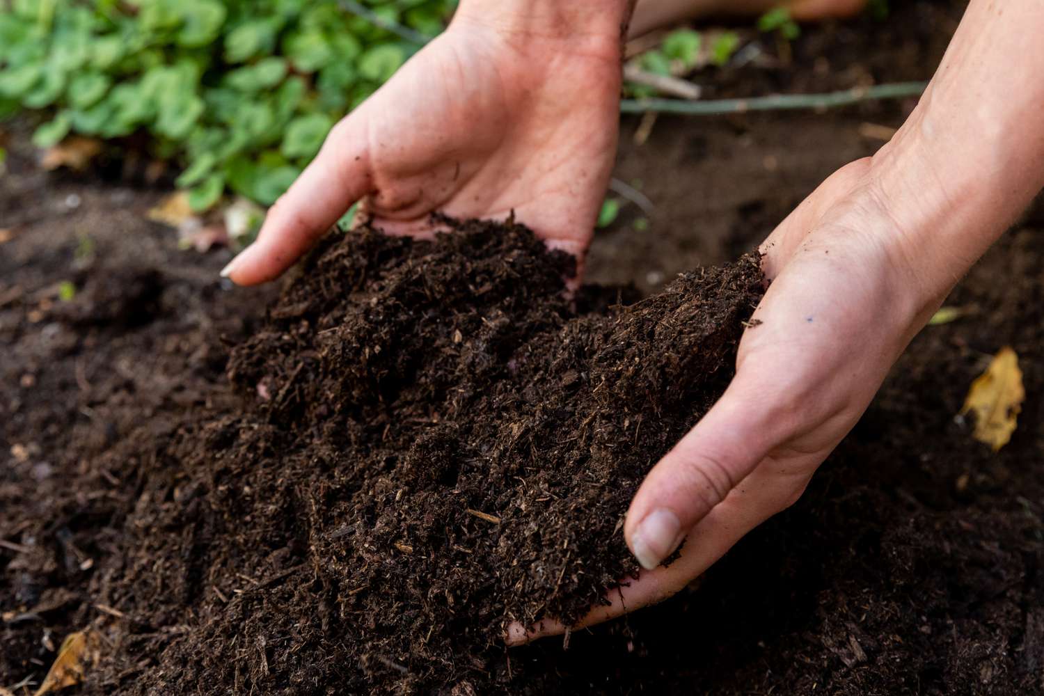 Importance of Soil Testing - Mosaic India
